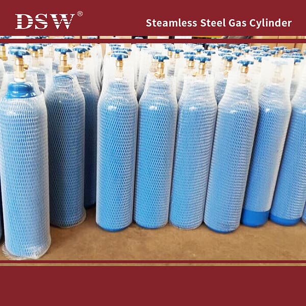 Portable Oxygen Tank, 8L oxygen bottles - DSW